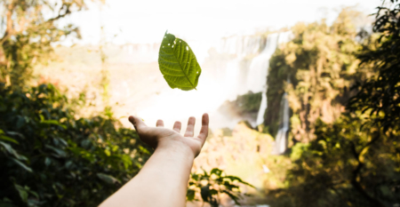 REHIS Training Courses | Parker Enterprise